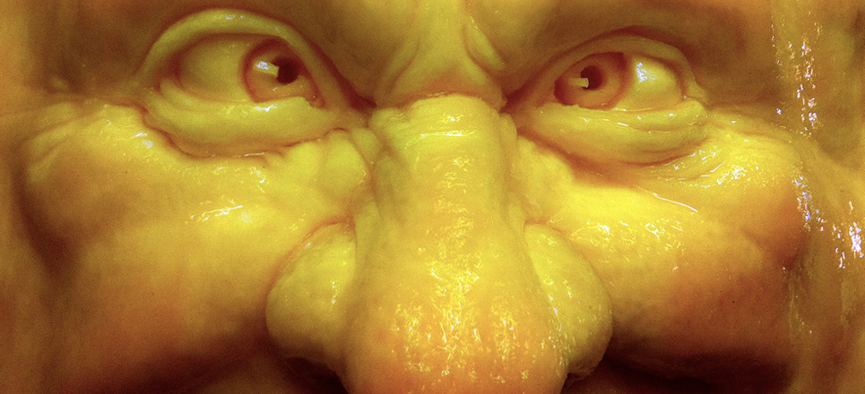 Ray Villafane, el artista de las calabazas | Aristegui Noticias