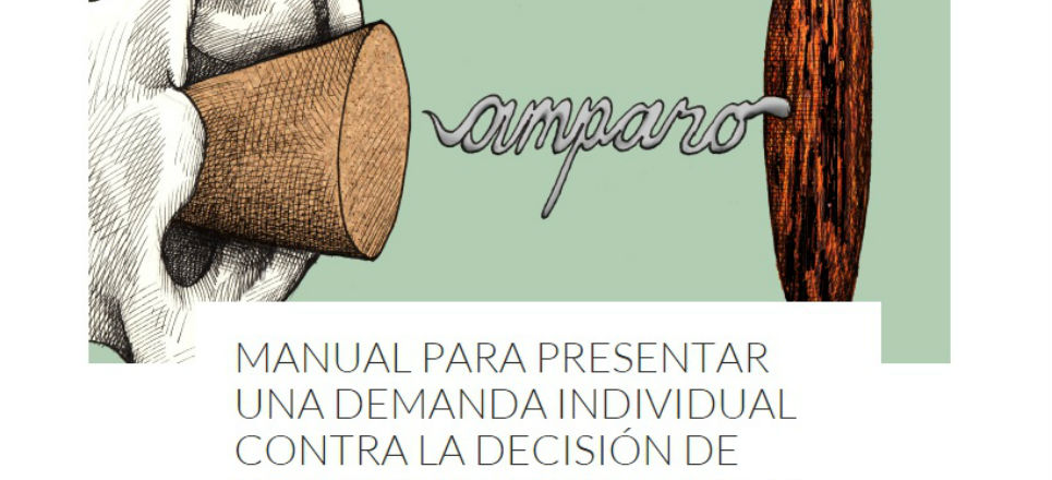 Alerta de #EnDefensadeAristegui: este jueves vence plazo para ratificar ...