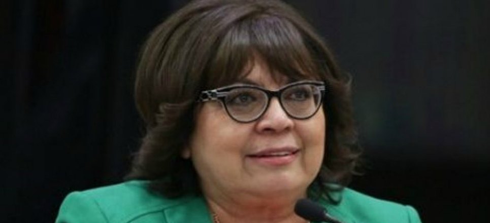 Prohibir 'memes', propone diputada del Partido Verde en Sonora ...