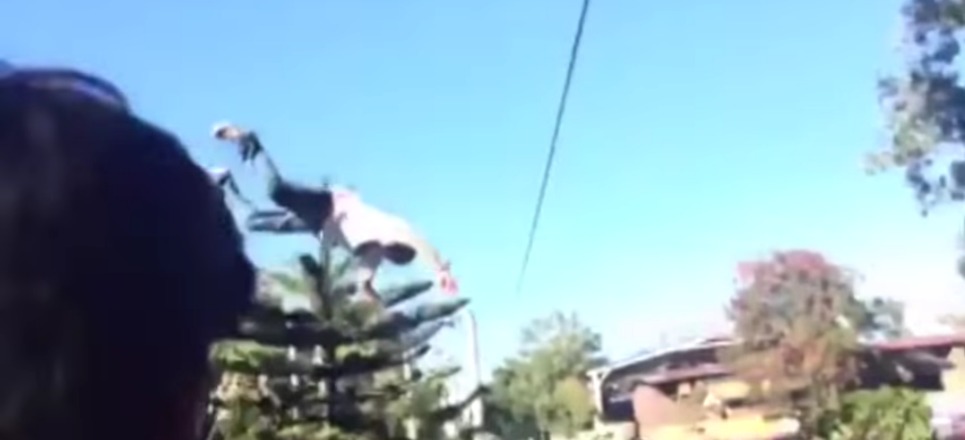 'Don Chuy' se lanza de tercer piso, sobrevive y es tendencia en Twitter ...