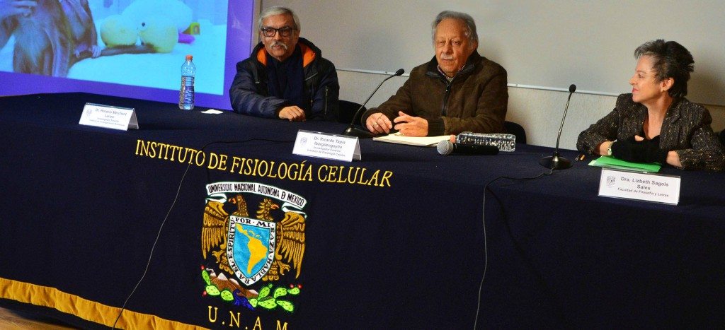 Clonar humanos, posible, pero es una realidad lejana: científicos UNAM ...