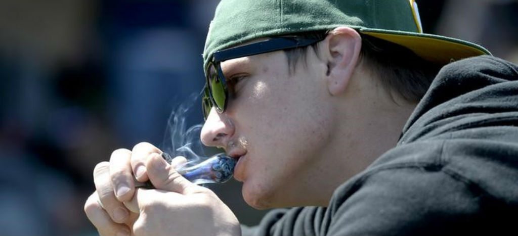 Despenalizar mariguana genera efectos positivos en salud y seguridad en ...