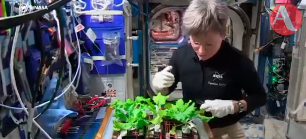 Joven mexicano gana concurso de la Nasa para crear robots exploradores ...