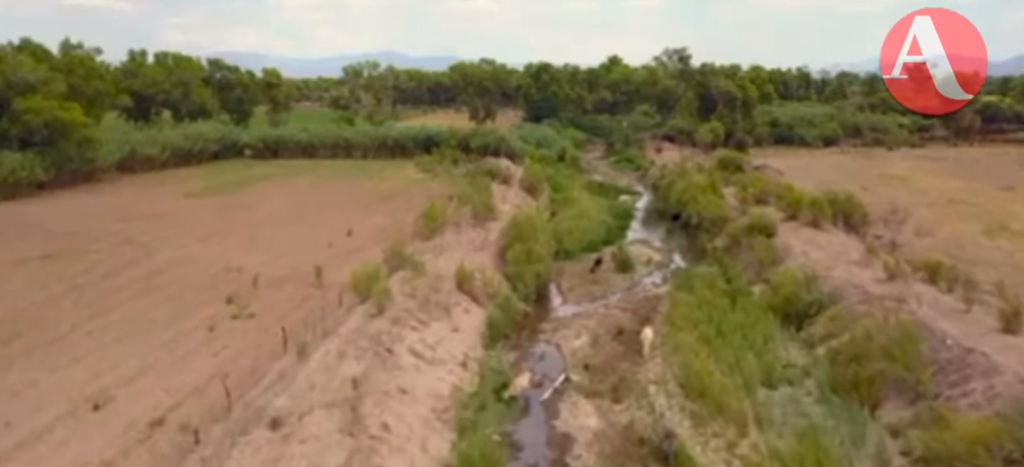 Grupo México y gobierno de EPN dejan sin atención a afectados por ...