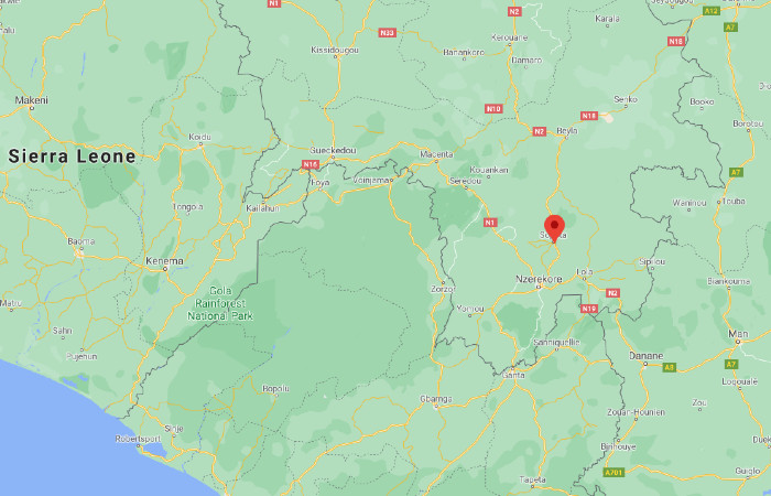 Guinea inicia campaña de vacunación contra el ébola ante aumento de ...