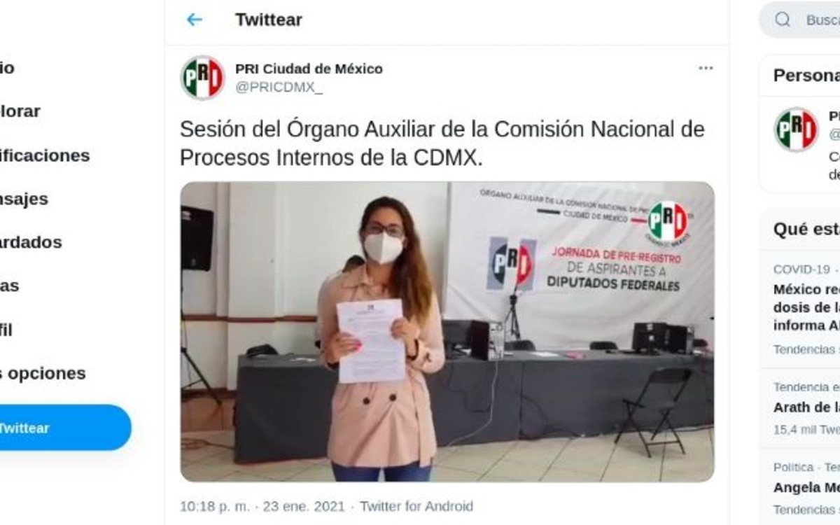 Impugnan en el PRI la candidatura de Sandra Vaca, reclutadora de ...