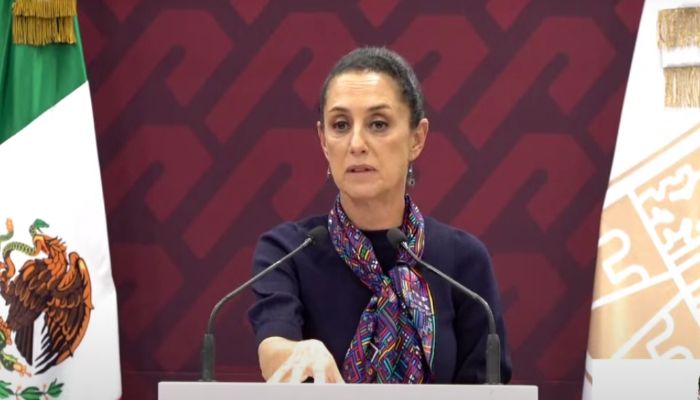 Separan Del Cargo A Titular De Seduvi Por Investigación De Presunto