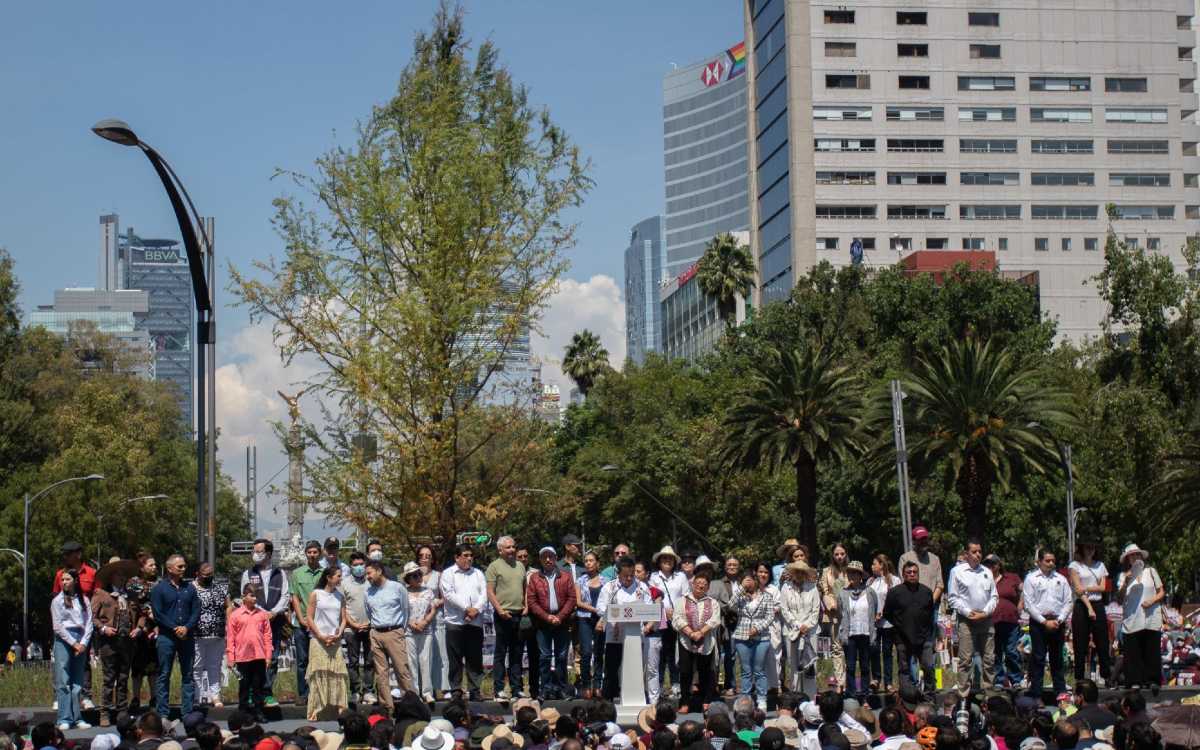 CDMX da la bienvenida al ahuehuete en Reforma... lo nombran el ...