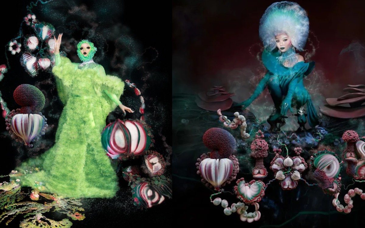 La islandesa Björk lanza el primer sencillo de su nuevo álbum ...