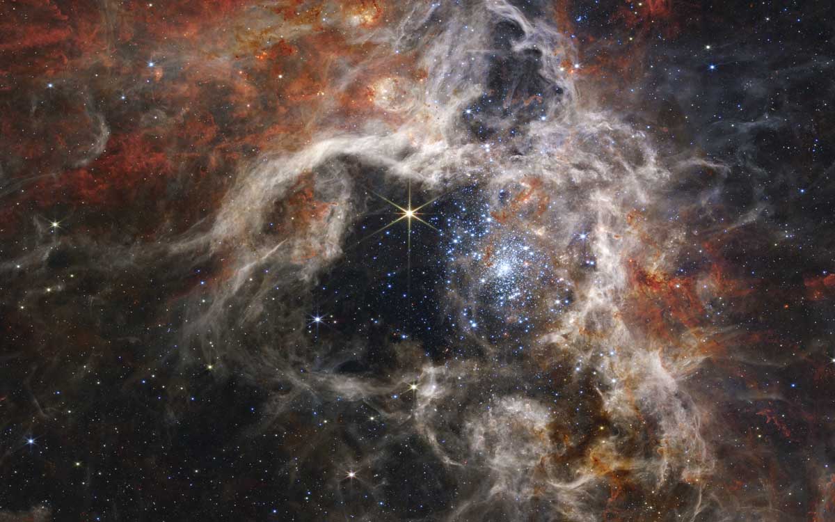 El telescopio Webb de la NASA capta una tarántula cósmica gigante | Aristegui Noticias