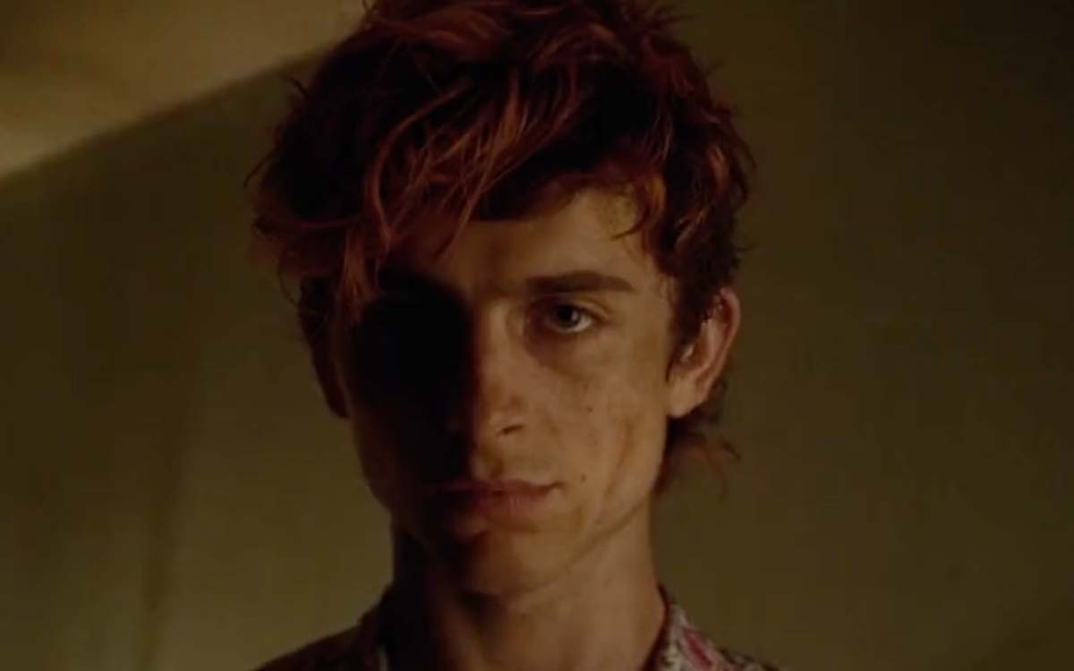 Timotheé Chalamet junto a Luca Guagdino estrenan 'Hasta los Huesos ...