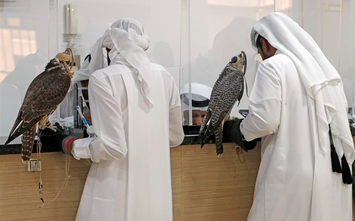 Qatar 2022 | Halcón milenario: mascota y lujosa tradición | Video ...