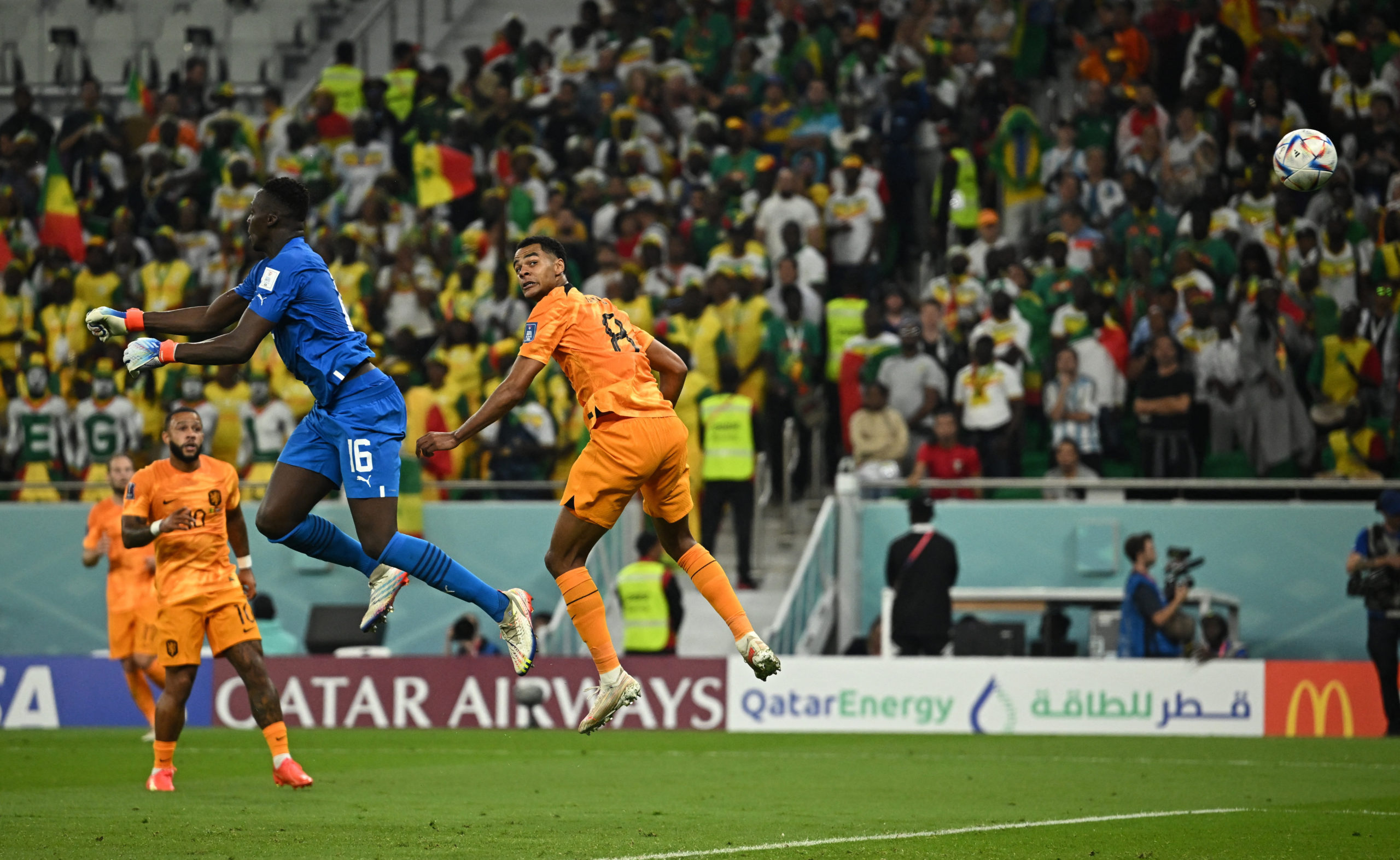 Qatar 2022: Suma Holanda sus primeros tres puntos | Fotogalería ...