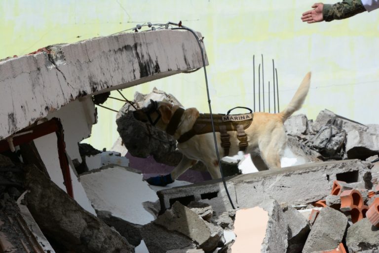 '¡México está orgulloso de ti!', la canción en agradecimiento a Frida ...