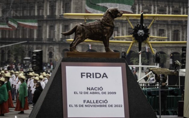 Rinden homenaje a Frida, la perrita, durante el desfile de la ...
