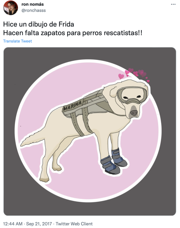 Revive los momentos más memorables de nuestra querida Frida | Fotos y ...
