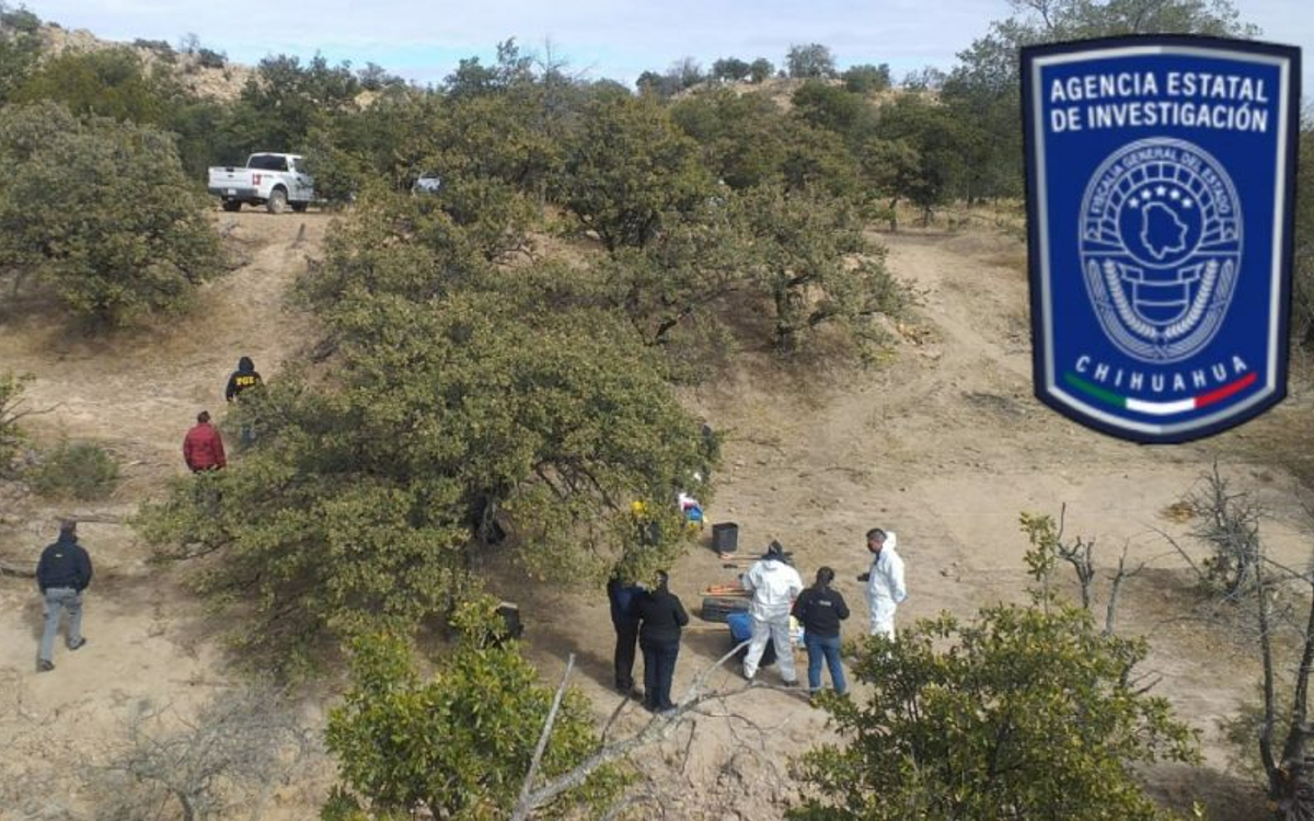 Hallan más 4 mil restos óseos en cementerio clandestino de Chihuahua | Aristegui Noticias
