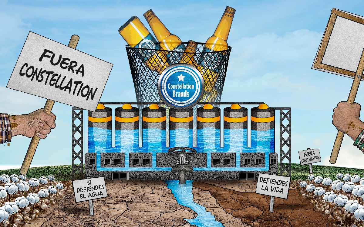 La cervecera que se va de Mexicali, pero pelea por el agua | Aristegui ...