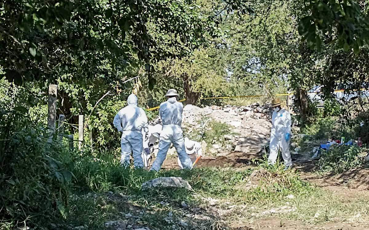 Cuerpos en fosa clandestina de Cuautla tenían tres semanas de enterrados: Brigada | Aristegui ...