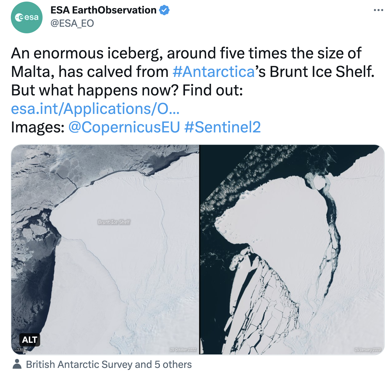 Iceberg gigante se desprende de plataforma de hielo en la Antártida ...