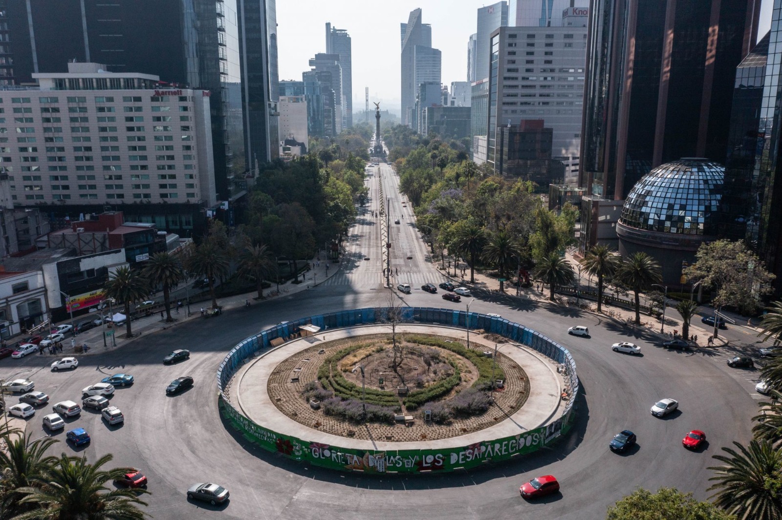 Detienen a hombre que vertió cemento en el nuevo ahuehuete de Reforma ...