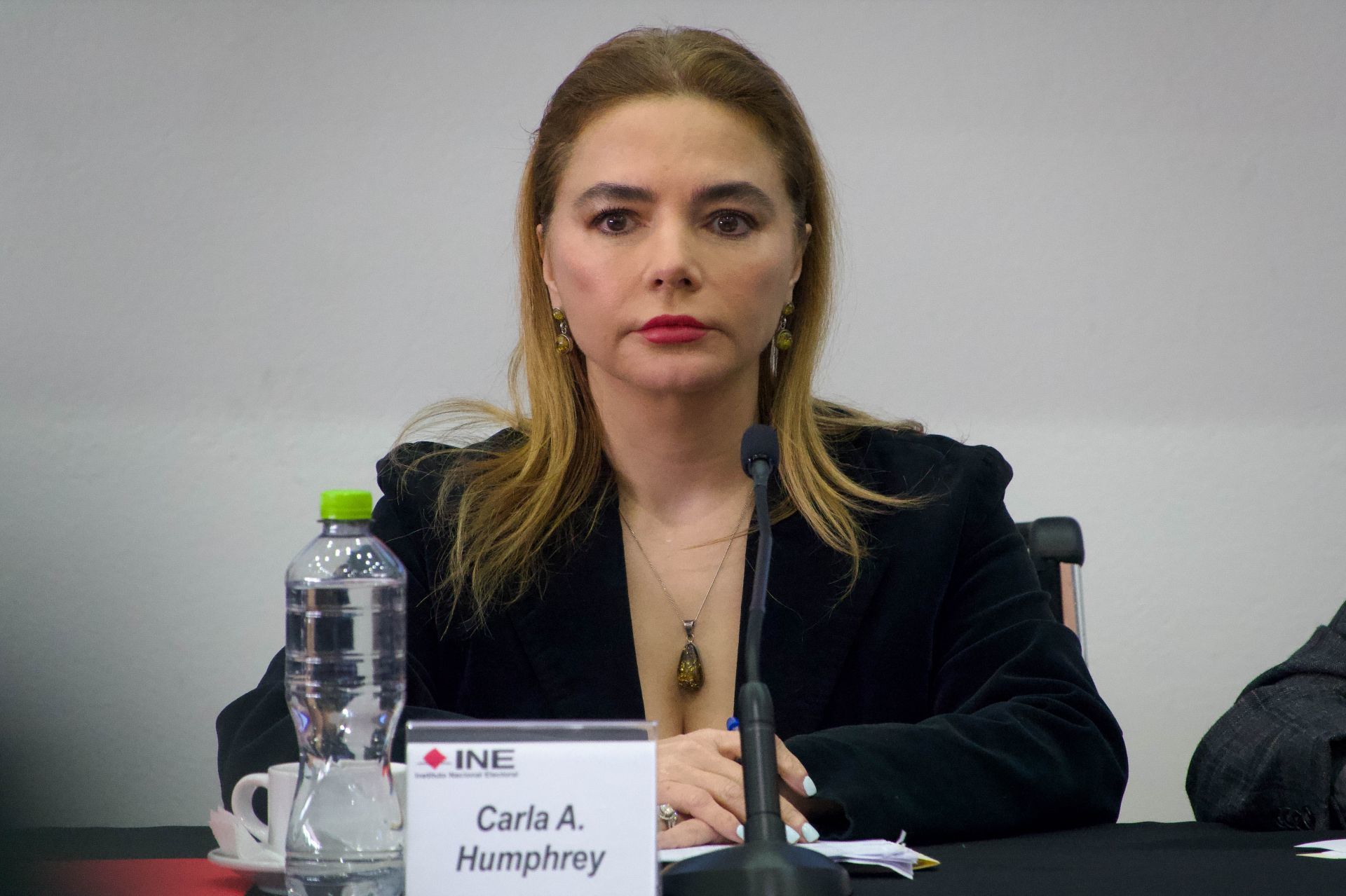 Carla Humphrey queda fuera para presidir el INE | Aristegui Noticias