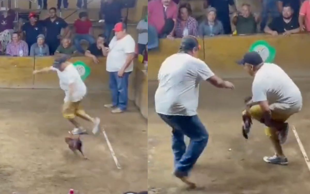 Gallo de pelea ataca a su dueño en palenque de Colima | Video ...