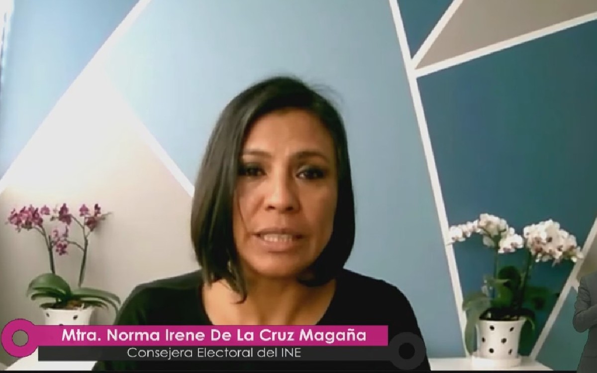 Norma de la Cruz incumple requisitos para ser consejera del INE: Hernán ...