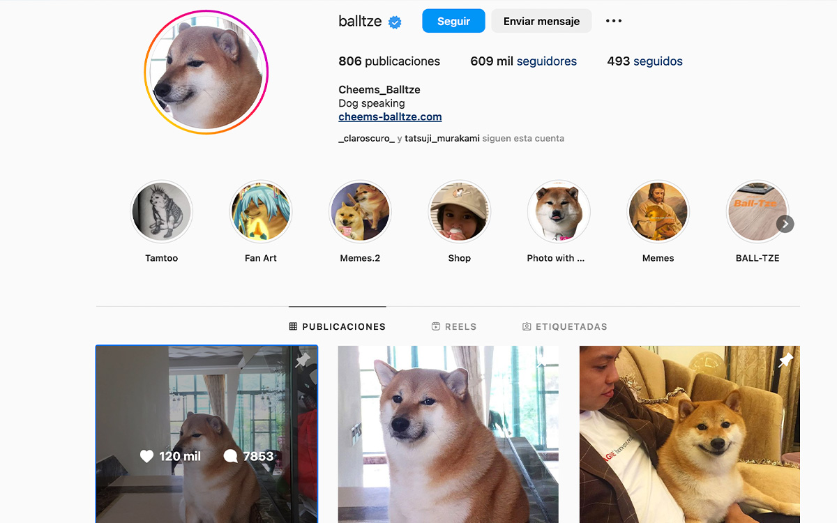 Cambia Twitter logo por mascota de Dogecoin y criptomoneda aumenta ...