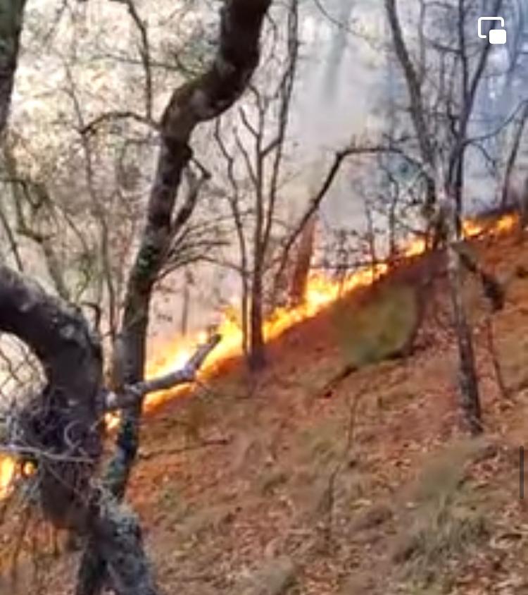 Continúa fuera de control incendio en Mazaltepec, Oaxaca; comuneros ...