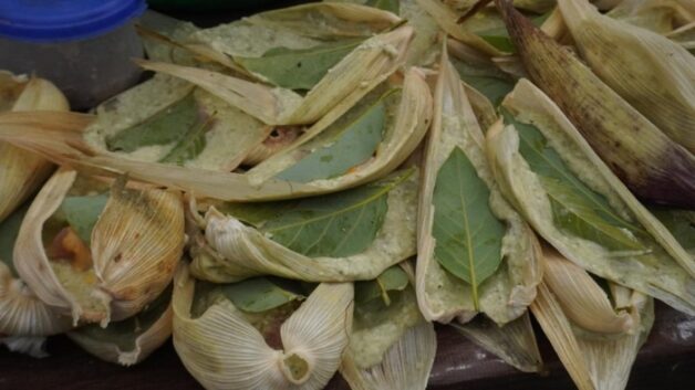 Las curanderas oaxaqueñas que cultivan cannabis | Aristegui Noticias