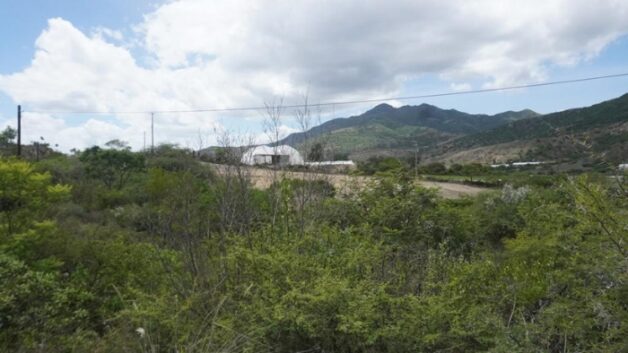 Las curanderas oaxaqueñas que cultivan cannabis | Aristegui Noticias