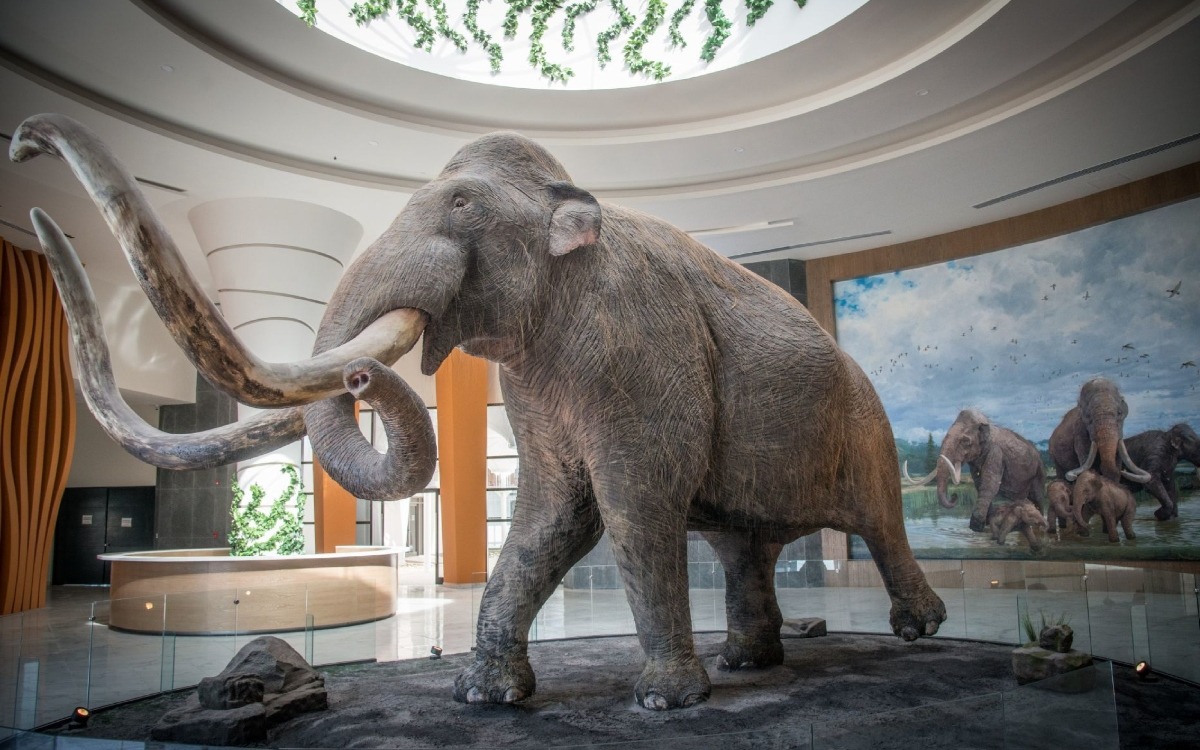¡Ponle nombre al mamut de Santa Lucía! Aquí te decimos cómo participar ...