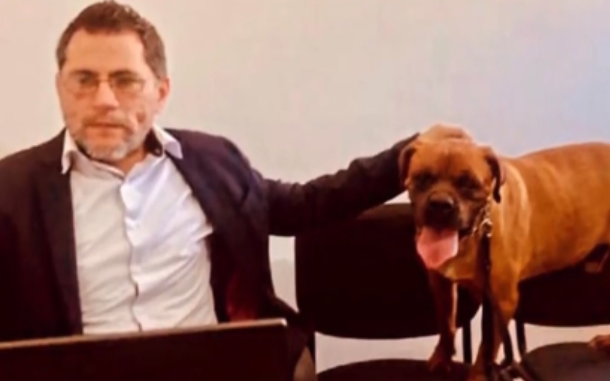Video | ¡El Chato hace historia! Es el primer perrito en participar en ...