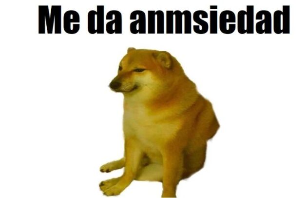 Cheems, la perrita viral, está muy enferma y su dueña ‘teme lo peor ...