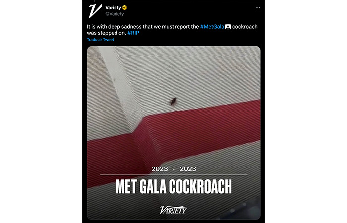Cucaracha conquista alfombra roja de la MET Gala | Aristegui Noticias