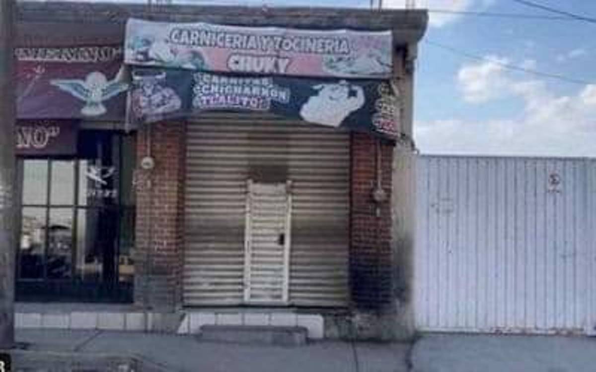 Cumplen segunda orden de aprehensión contra asesino del perrito Scooby ... Cumplen segunda orden de aprehensión contra asesino del perrito Scooby ...