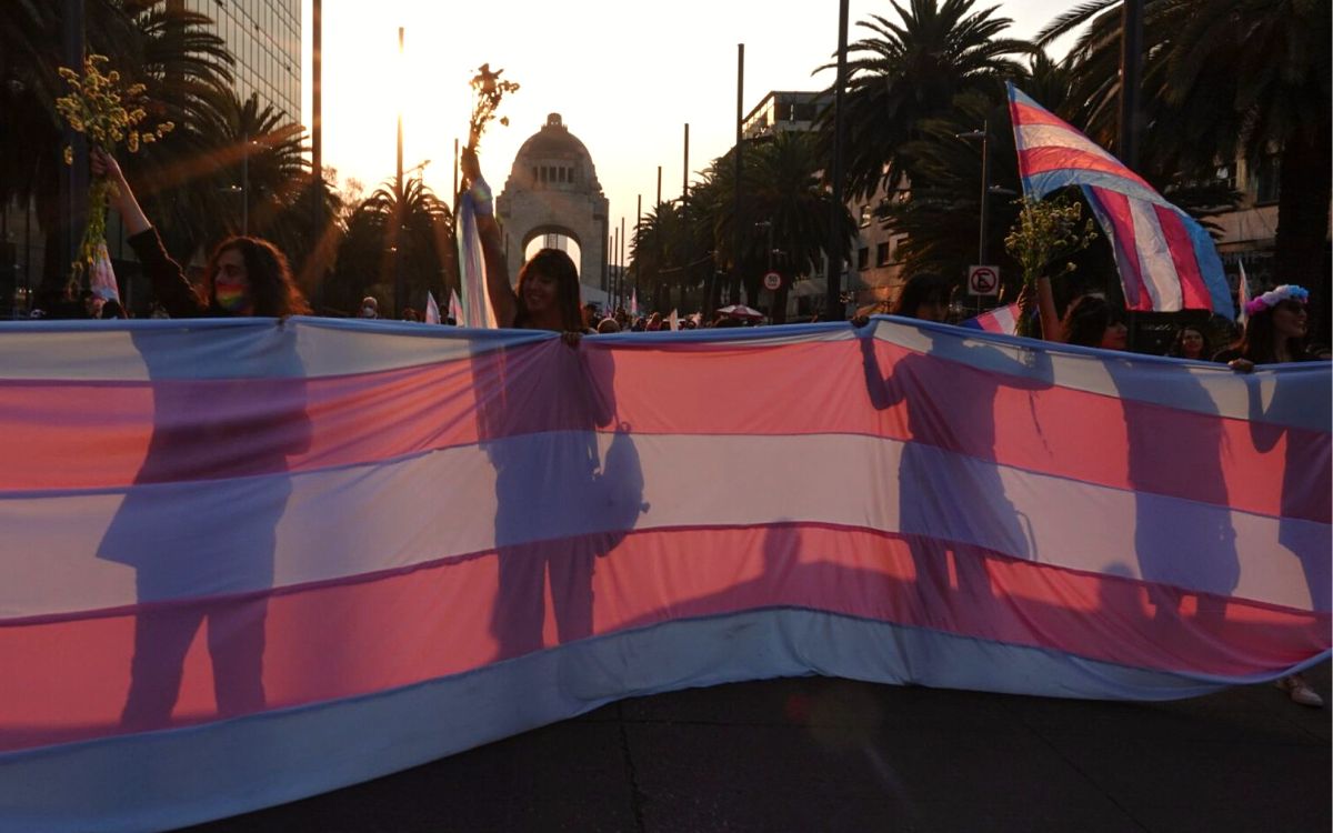 2 de cada 3 personas trans reconocieron su identidad de género antes de ...