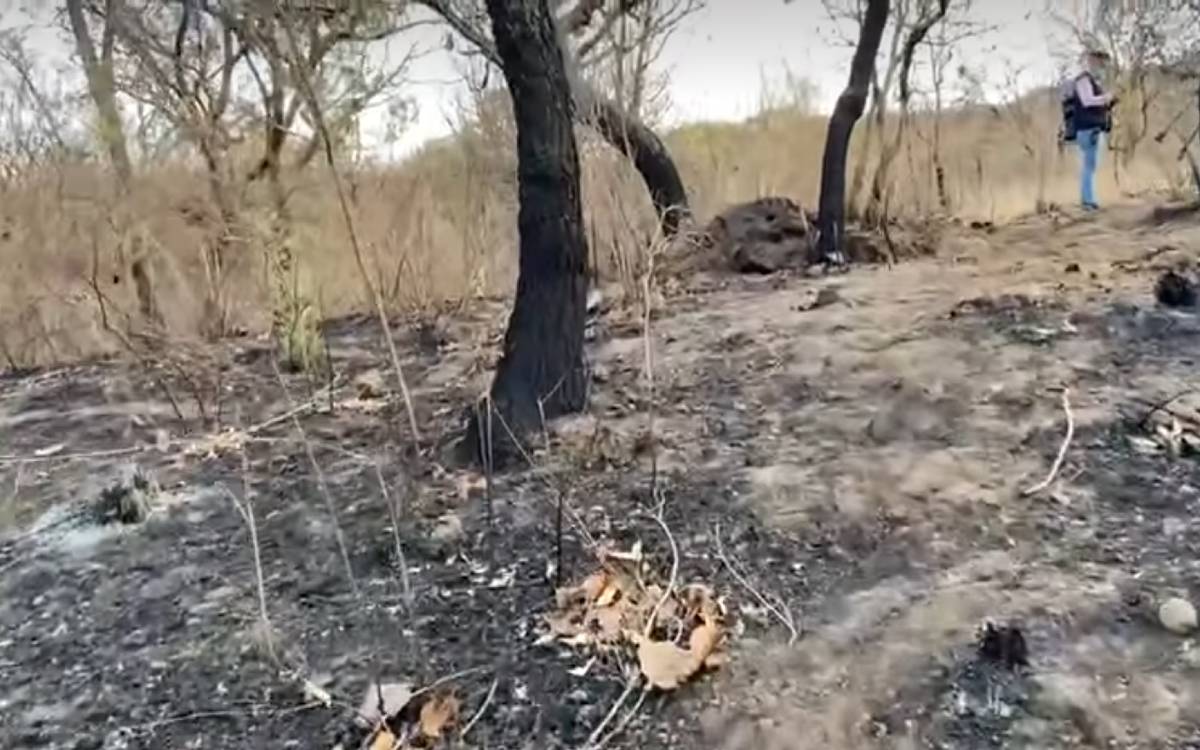 Hallan 32 bolsas con restos humanos en Tlajomulco | Aristegui Noticias