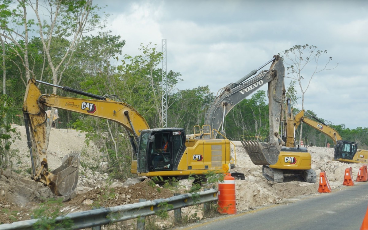Obras del Tren Maya han generado una 'destrucción brutal' de la selva: CEMDA | Aristegui Noticias