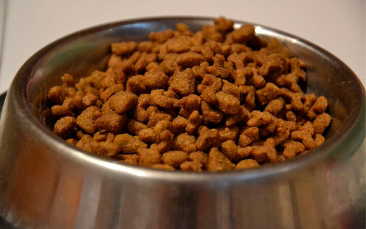 Estos son las 5 mejores croquetas para perro, según Profeco | Aristegui ...