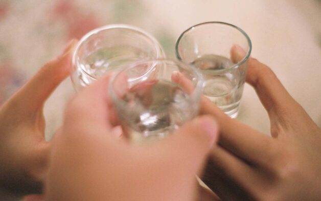 5 vodkas con sabor que pasaron las pruebas de Profeco | Aristegui Noticias