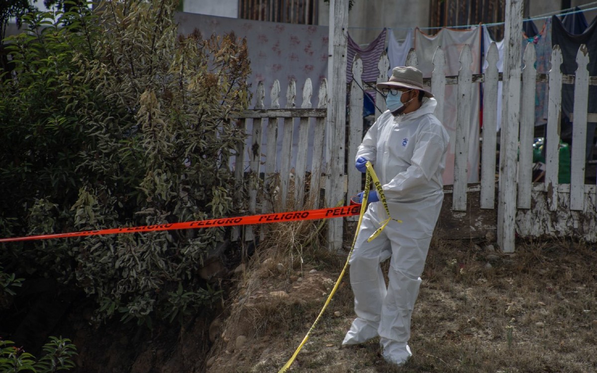 Hallan 9 cuerpos abandonados en Reynosa, Tamaulipas | Aristegui Noticias