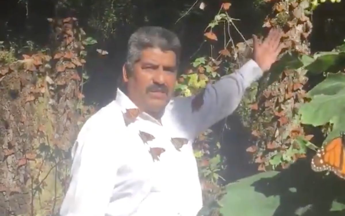 'El guardián de las monarcas', documental sobre Homero Gómez llega a ...