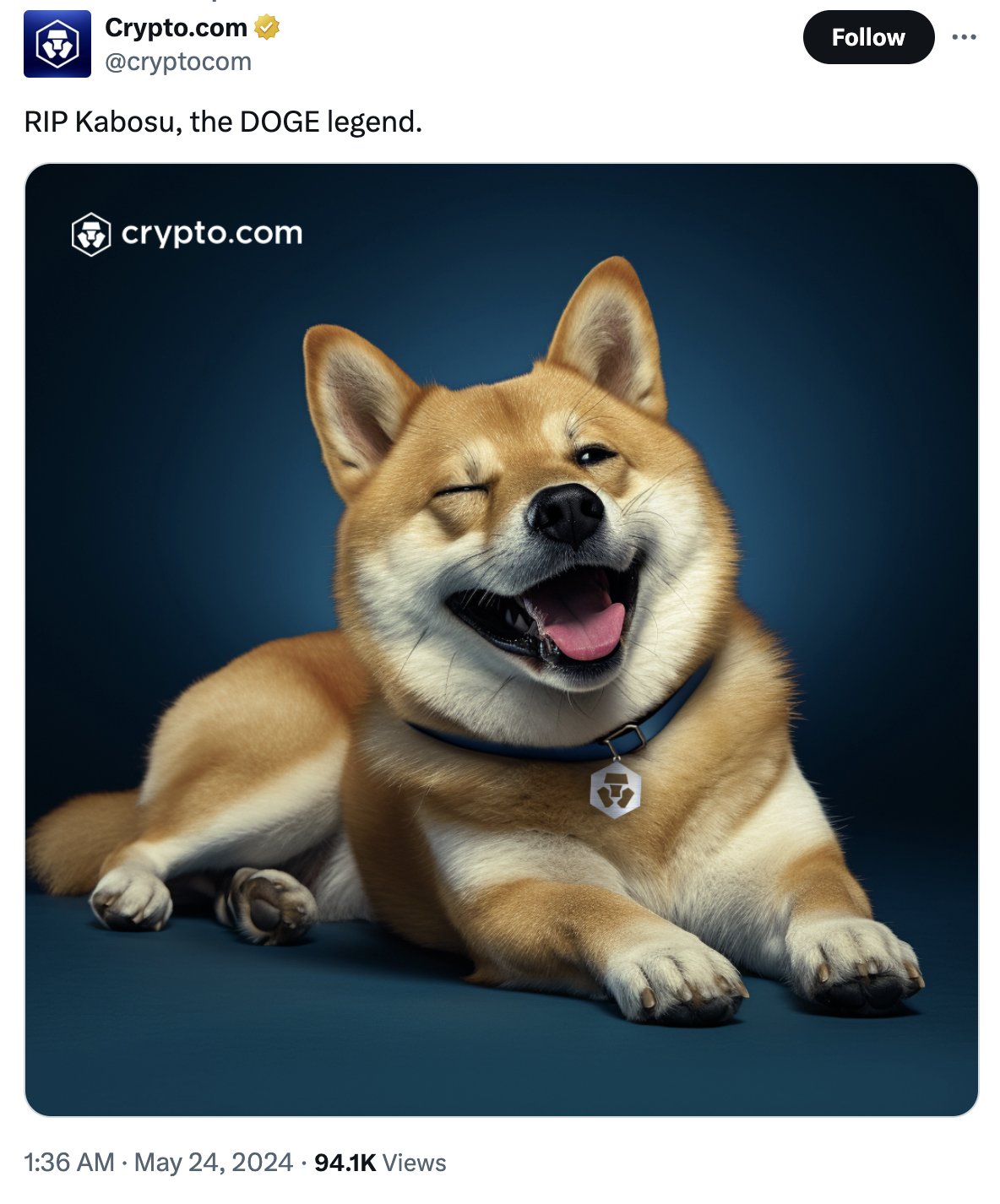 ¡Hasta siempre Doge! Muere Kabosu, la shiba inu que inspiró el meme y ...