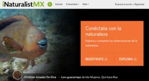 Conoce 'Naturalista' y 'Somos Naturalistas', plataformas para descubrir ...