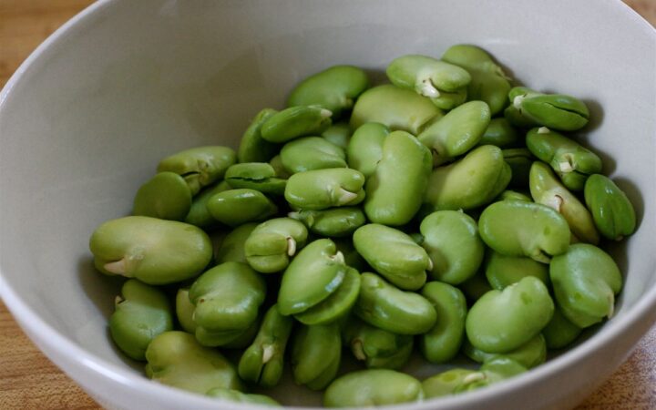 ¿Qué es el haba y para qué sirve? | Aristegui Noticias