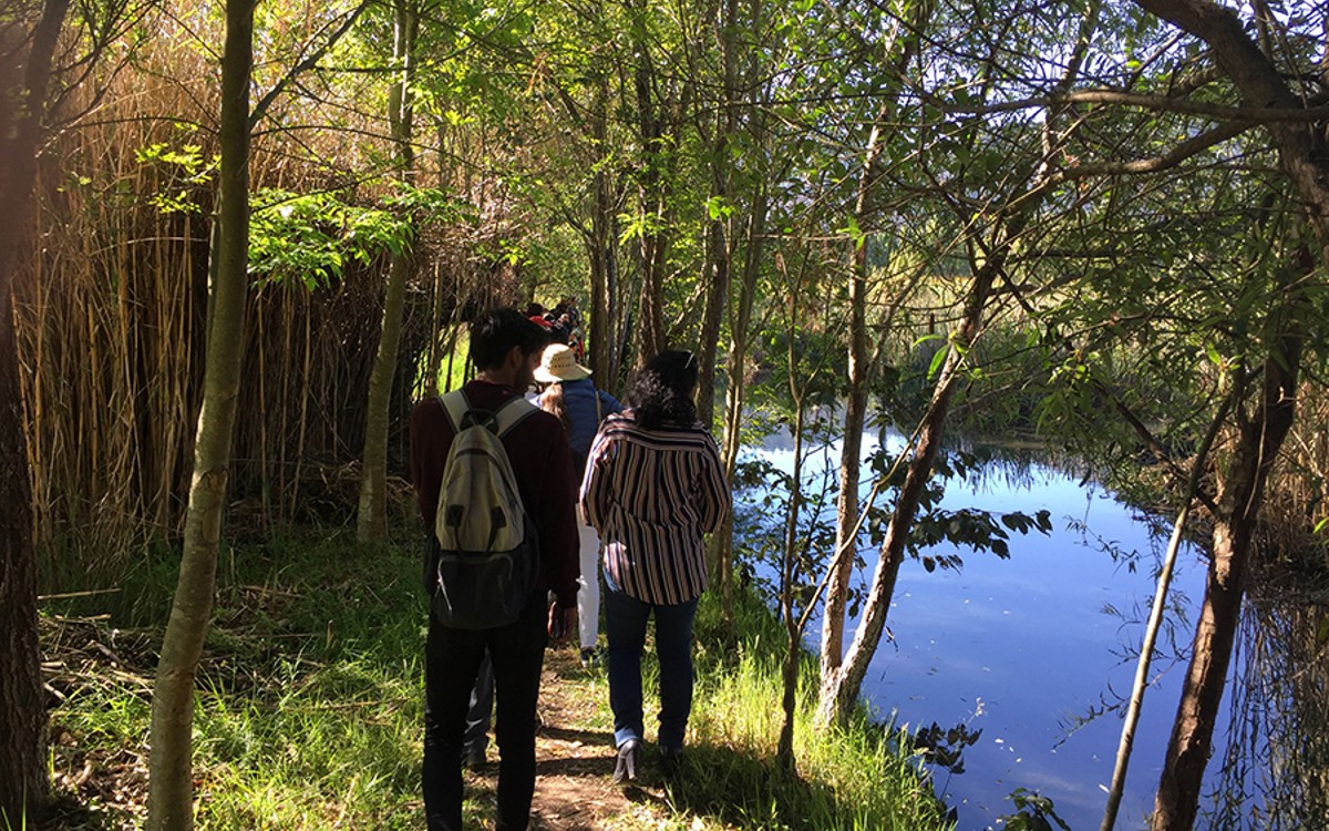 Artículo 19 denuncia hostigamiento a defensores del humedal La Kisst en ...