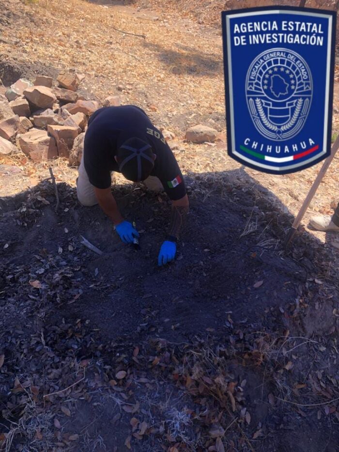 Hallan 72 cuerpos en fosas clandestinas en Casas Grandes, Chihuahua | Aristegui Noticias