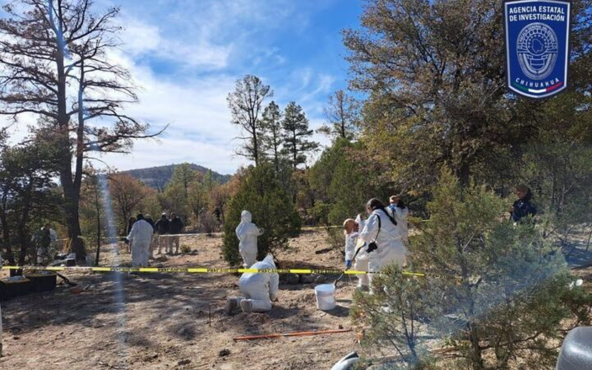 Hallan 72 cuerpos en fosas clandestinas en Casas Grandes, Chihuahua | Aristegui Noticias